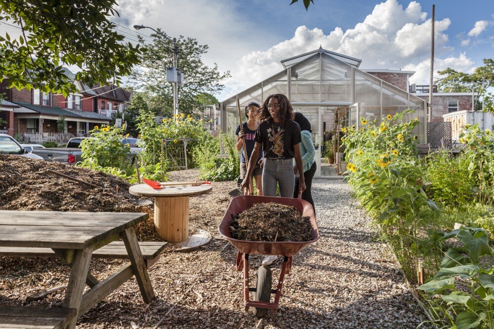 Let's Put Race on the Table with FoodShare Toronto -- Wavy Marketplace ...