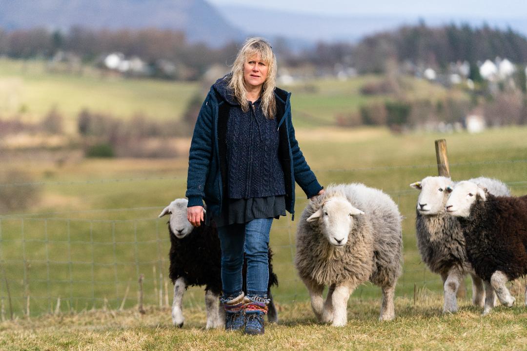 Leader-SHEEP Workshop with Dougal -- Wavy Marketplace - Experiences and ...