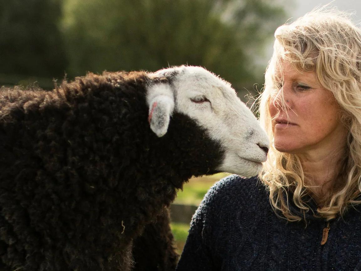 Leader-SHEEP Workshop with Dougal -- Wavy Marketplace - Experiences and ...